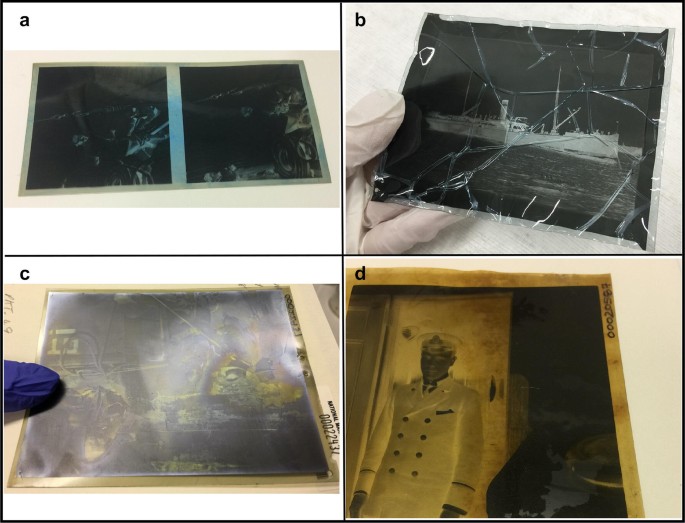 Rapid identification of cellulose nitrate and cellulose acetate ...