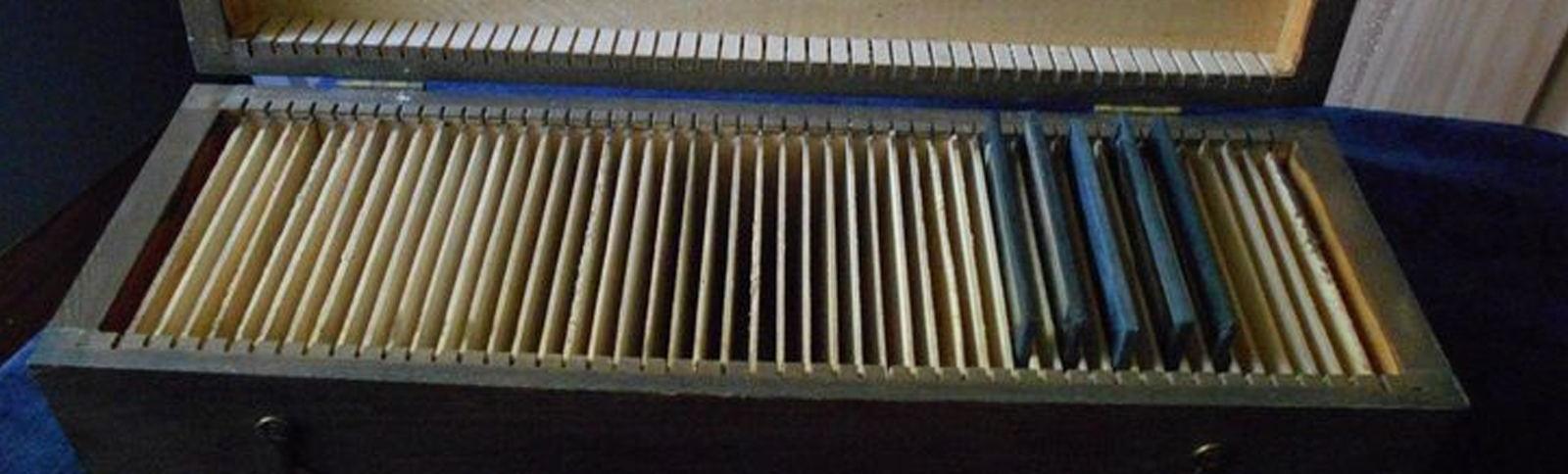 Heritage Expert Scanning & Digitisation of your Glass Plate Negatives ...